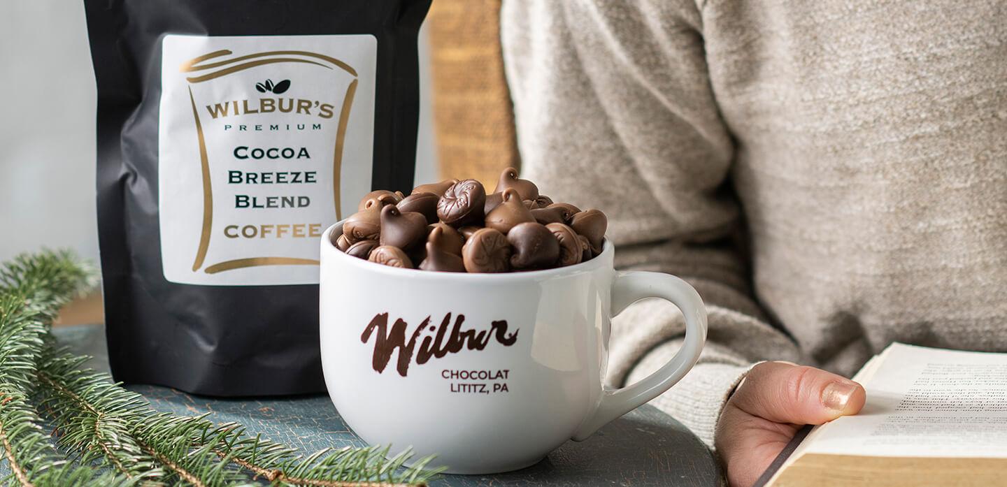 Logotipo De Chocolate Wilbur