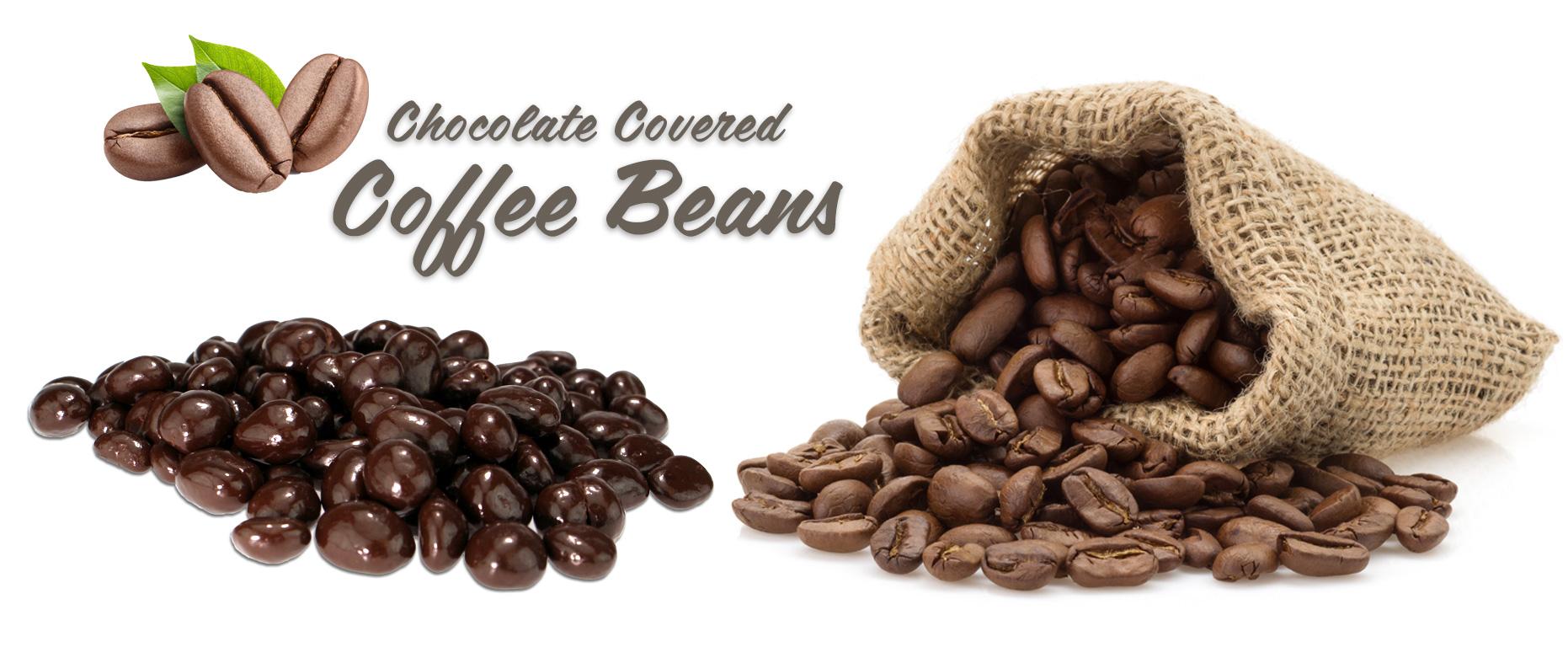 Wilbur Chocolate | Buy Wilbur Buds and Chocolate Gifts Online